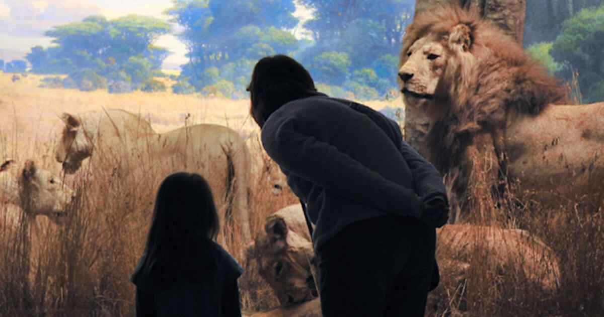 Annual Report | AMNH