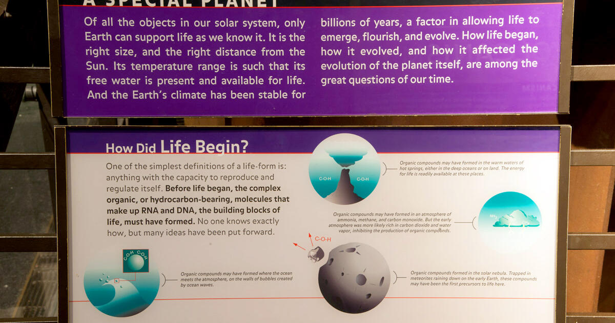 how does earth support life