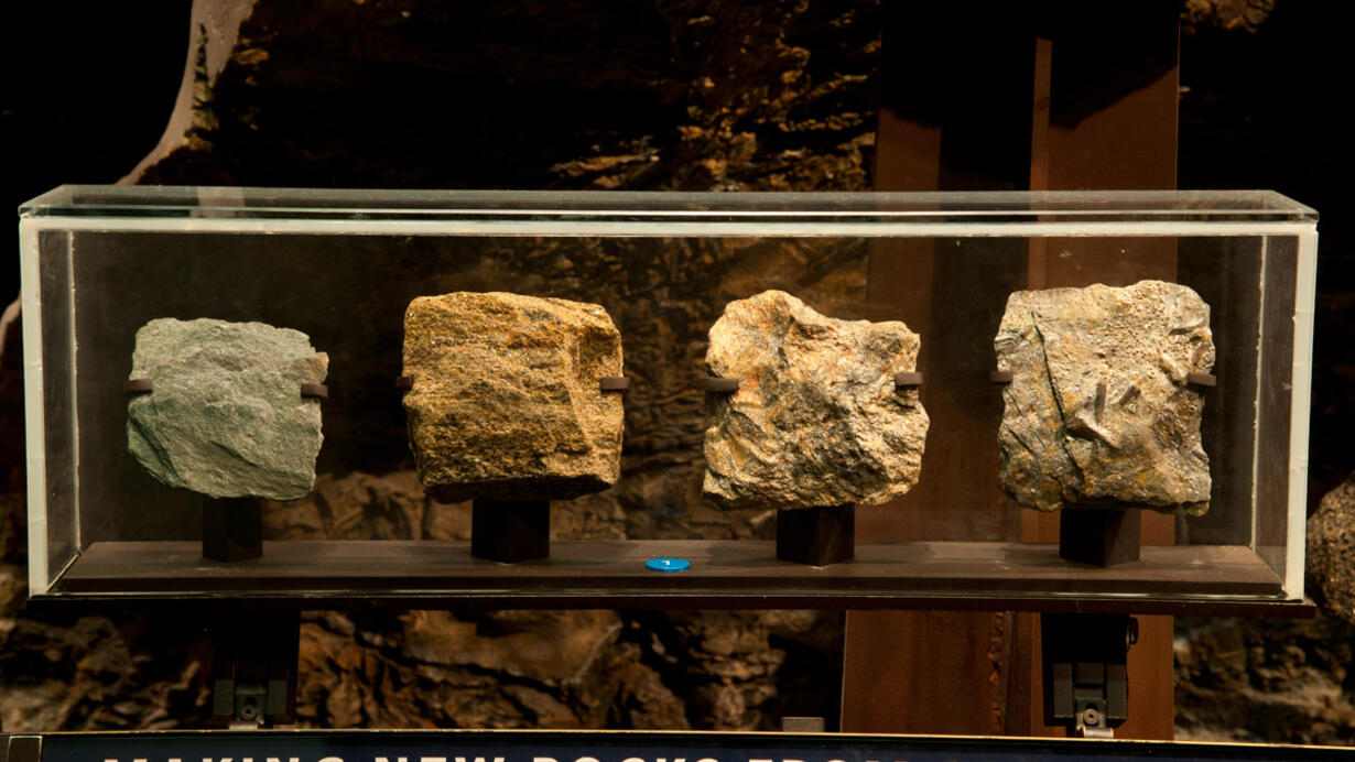 Barrovian sequence | AMNH