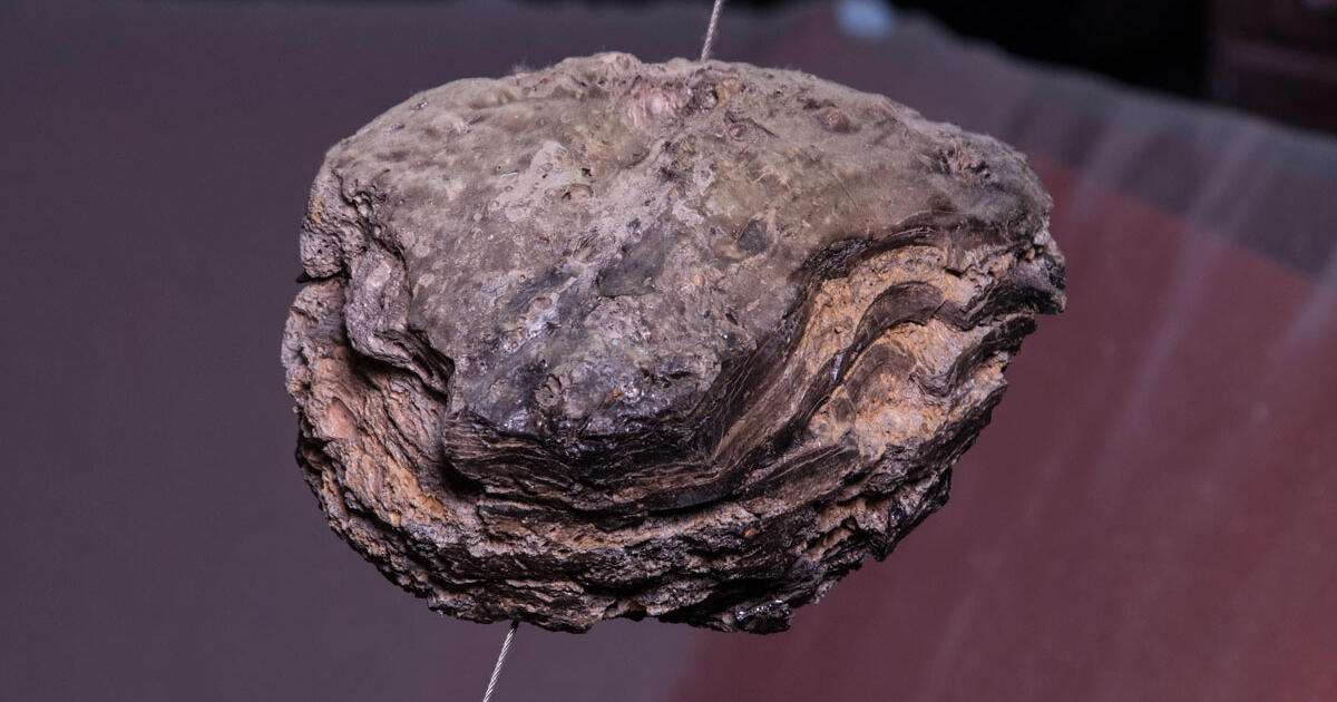 Cannonball bomb | AMNH