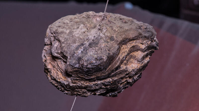 Cannonball bomb | AMNH