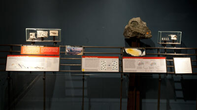 Dating Rocks | AMNH