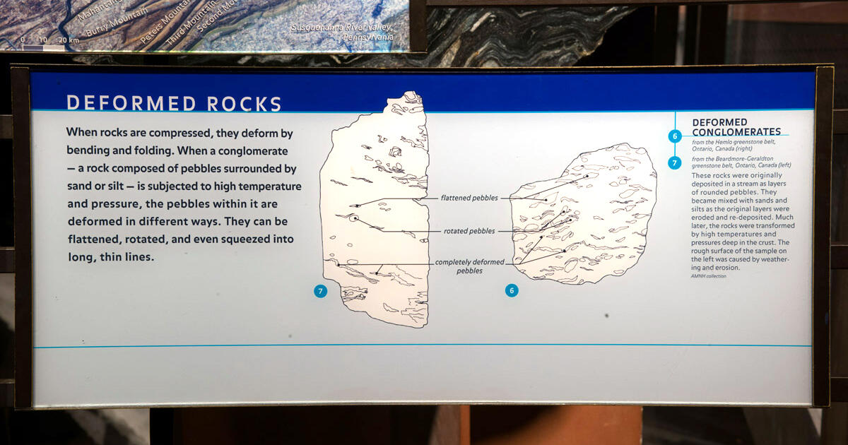 Deformed rocks | AMNH