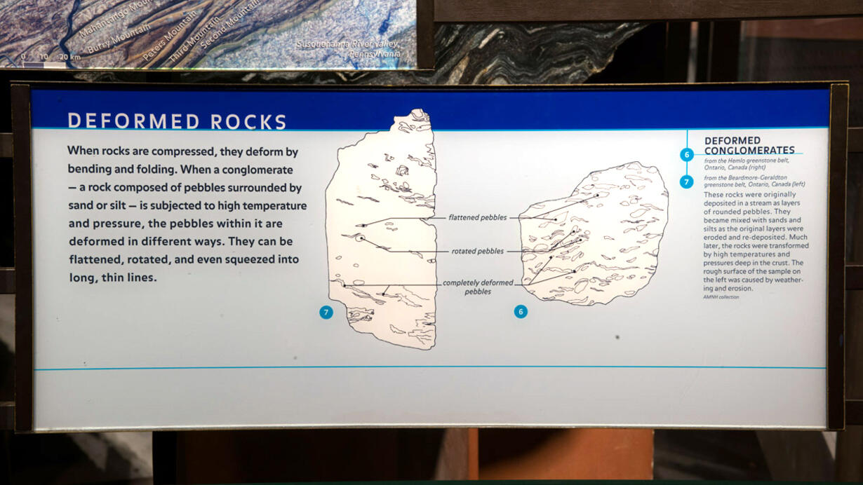 Deformed rocks | AMNH
