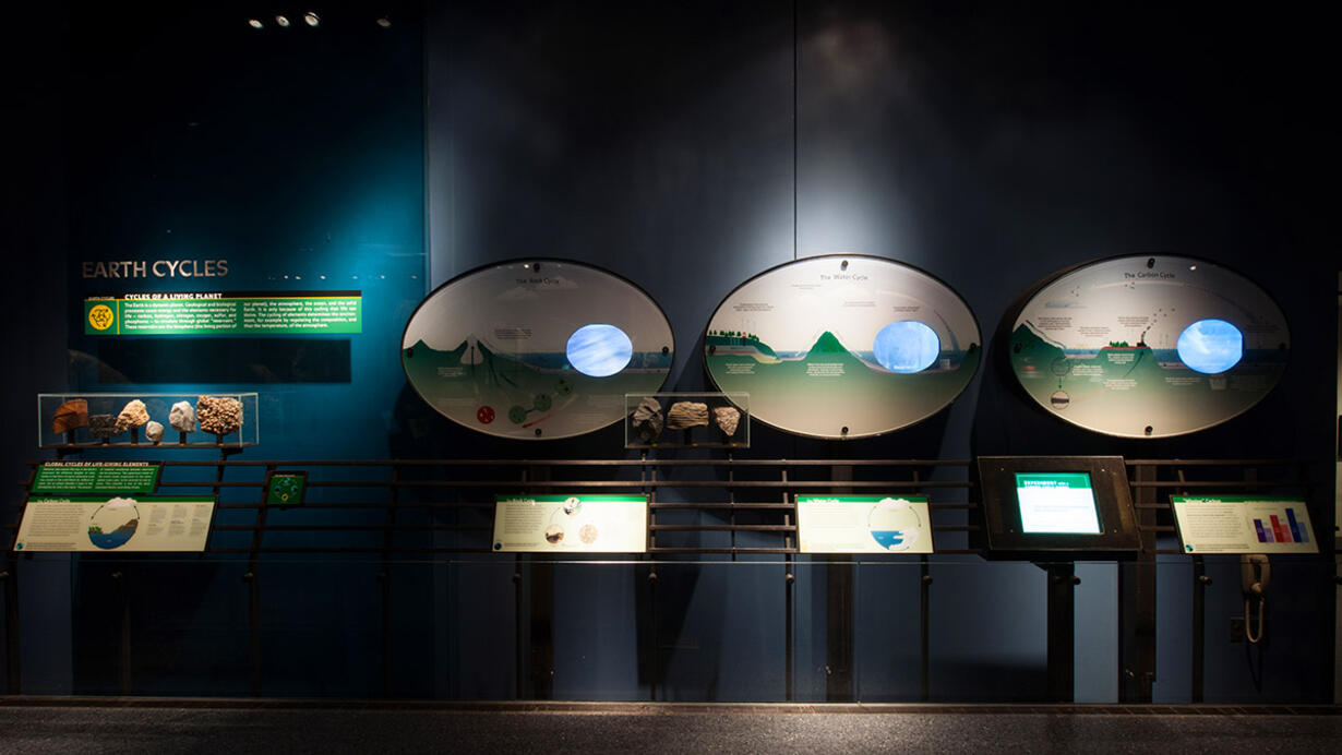 Earth cycles | AMNH