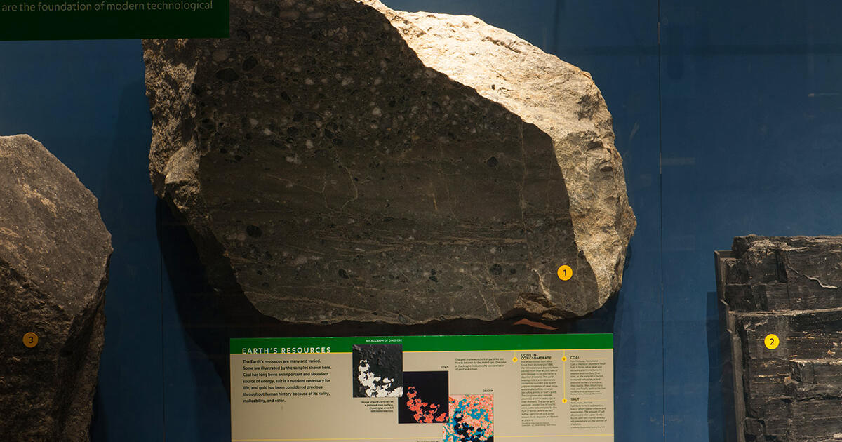 Earth's resources | AMNH
