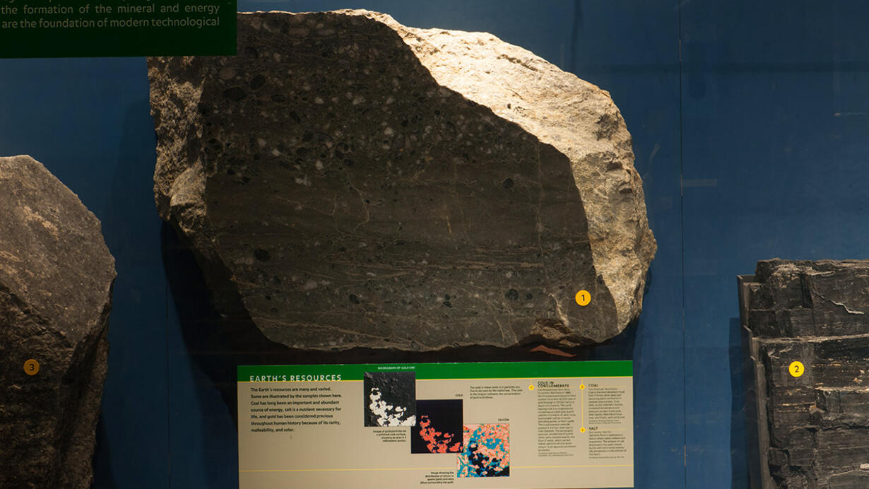 Earth's resources | AMNH