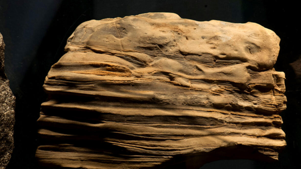 Claystone | AMNH