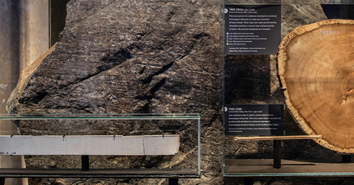 Climate Proxies | AMNH