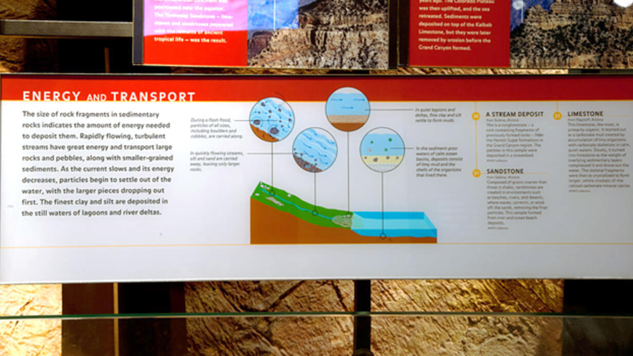 Energy and Transport | AMNH