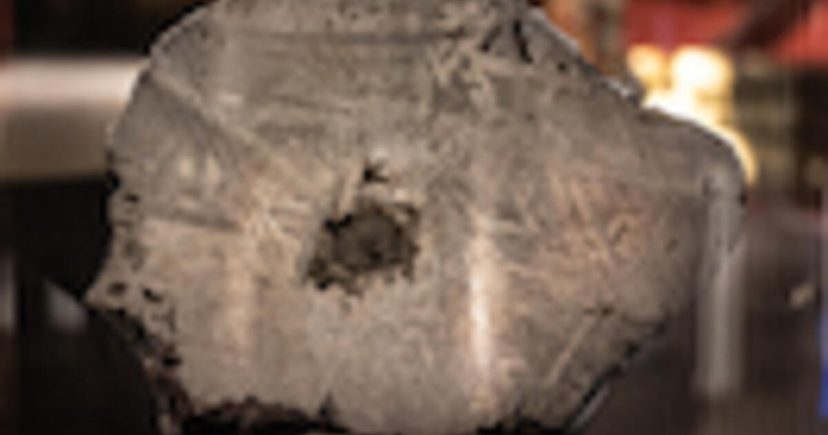 Iron meteorite | AMNH