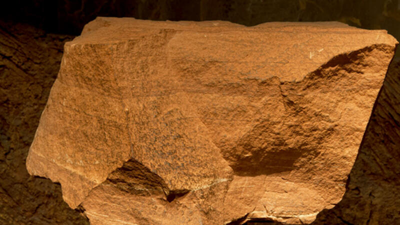 Energy and Transport | AMNH