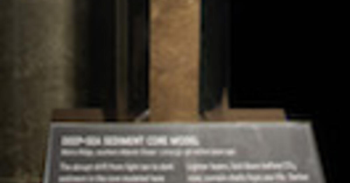 Deep-sea sediment core | AMNH