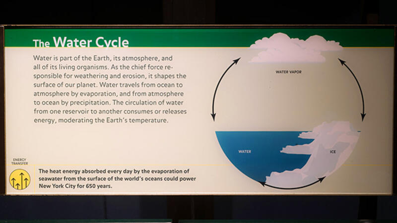 The water cycle | AMNH