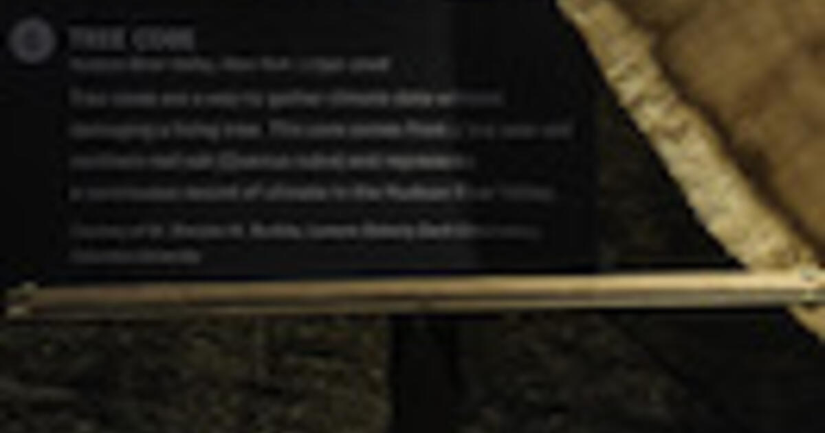 Tree Core | AMNH