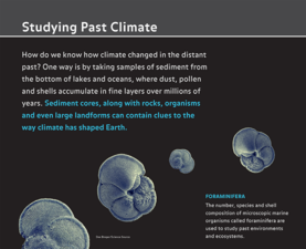 Climate Proxies | AMNH