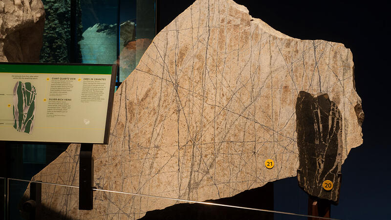 Ores in granite | AMNH