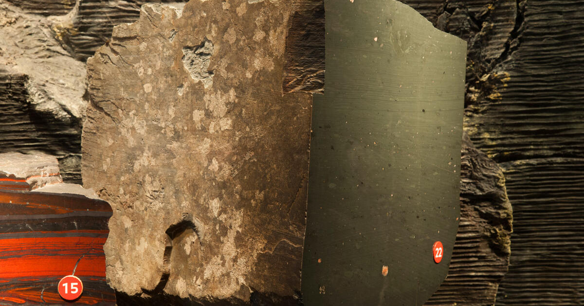 Outcrop of glacial sediments | AMNH
