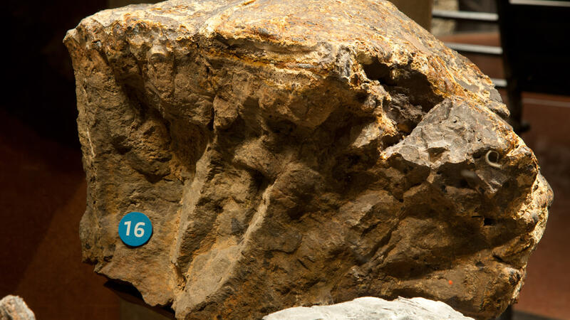 Pacific Ocean pillow basalt | AMNH