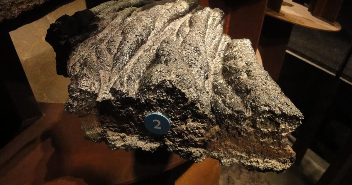 Pahoehoe lava | AMNH