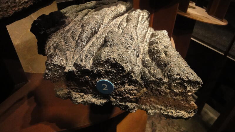 Pahoehoe lava | AMNH