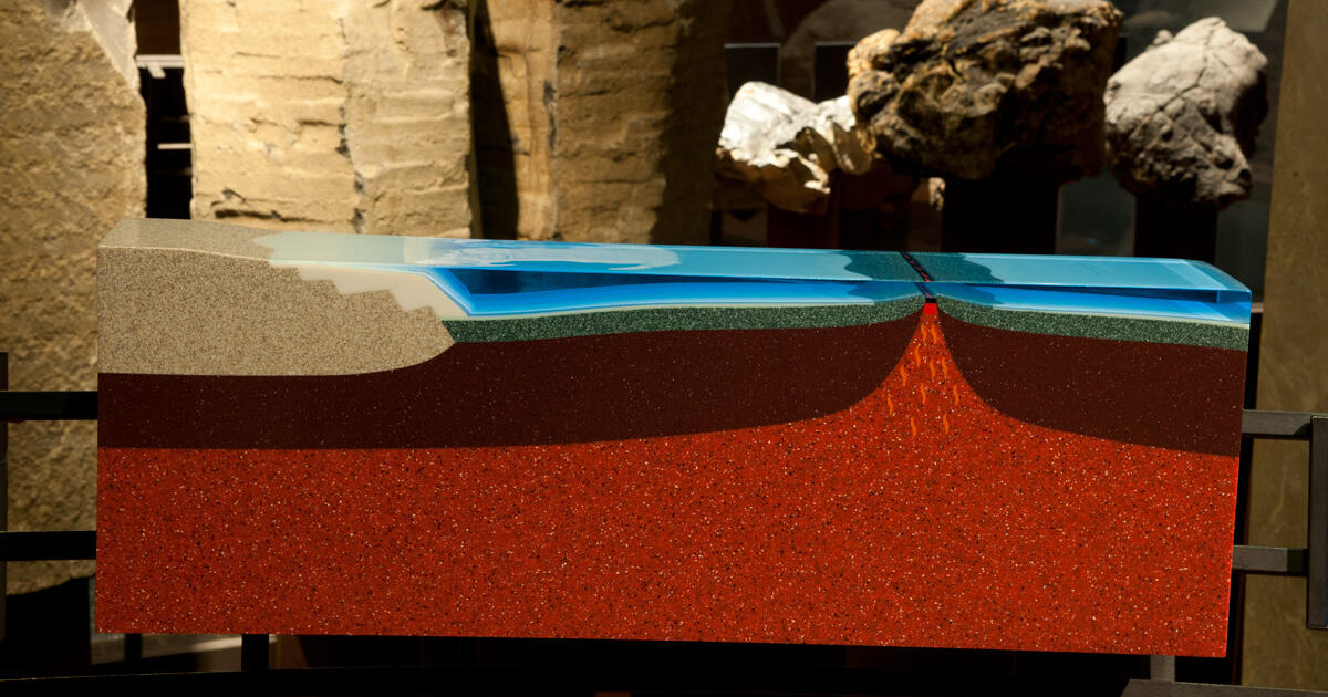 Where plates separate | AMNH