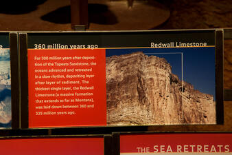 Building the Canyon's Layers | AMNH