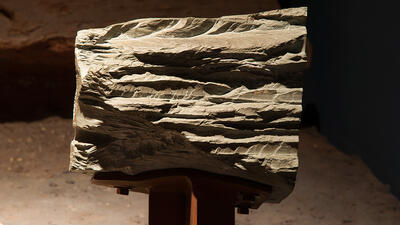 Metamorphic Rocks: Changes to Mineral Structure | AMNH