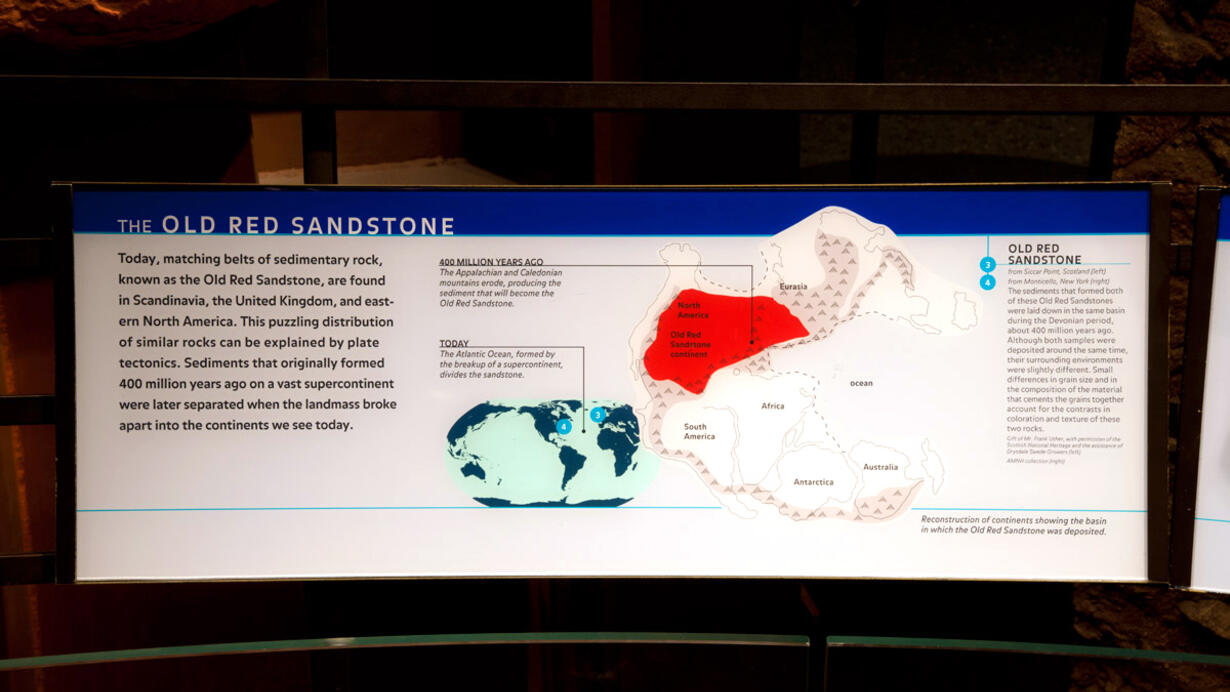 The Old Red Sandstone | AMNH