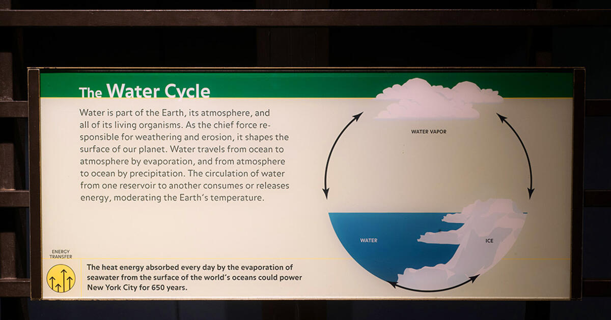 The water cycle | AMNH