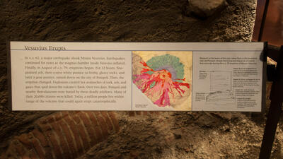 Vesuvius erupts | AMNH