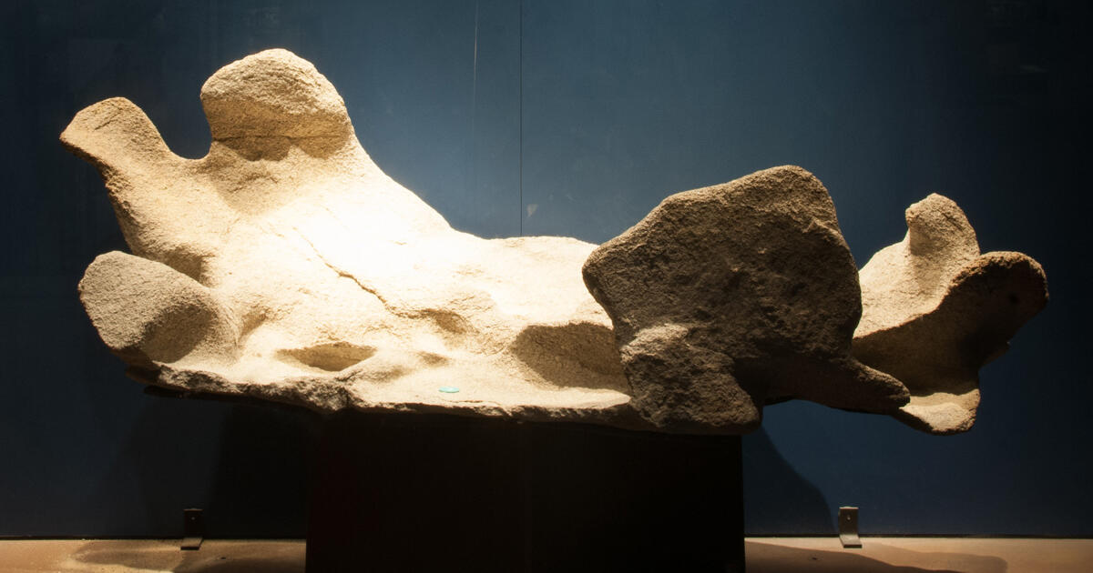 Wind-carved rock | AMNH