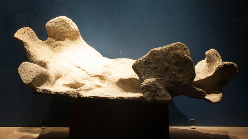Wind-carved rock | AMNH