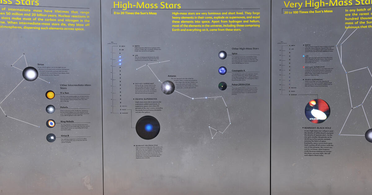 High Mass Stars Amnh