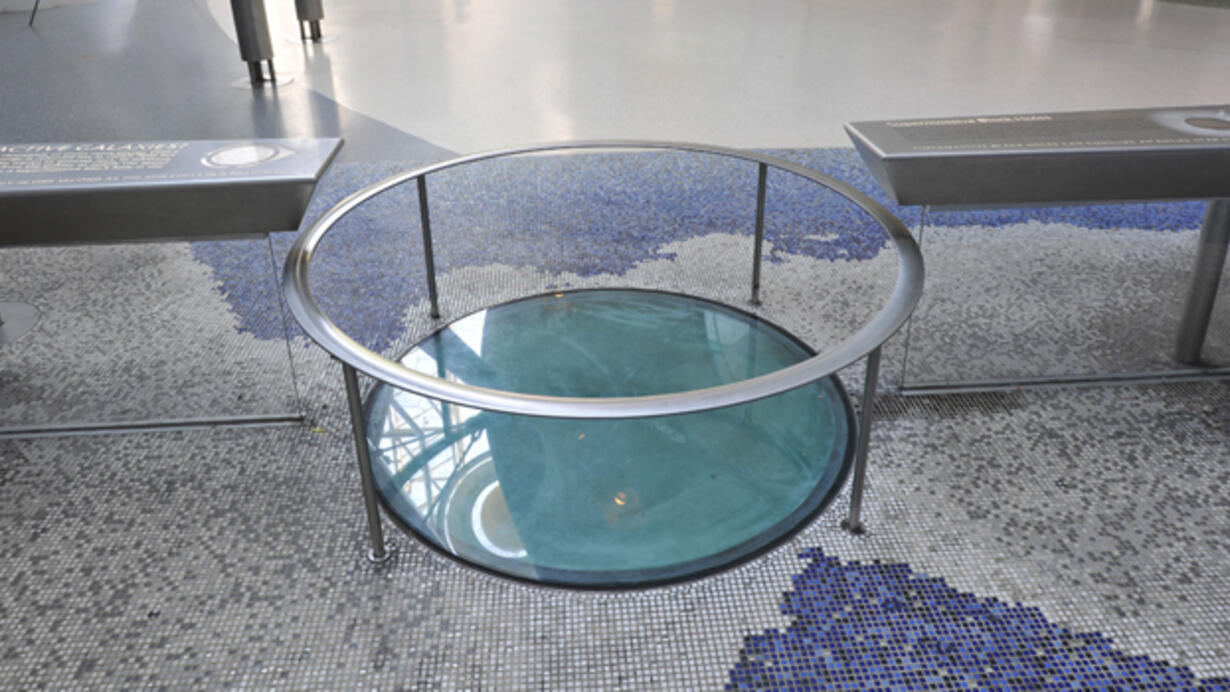 Kinetic Model | AMNH