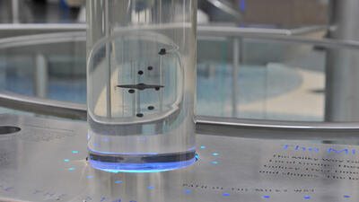 Milky Way Galaxy Model | AMNH