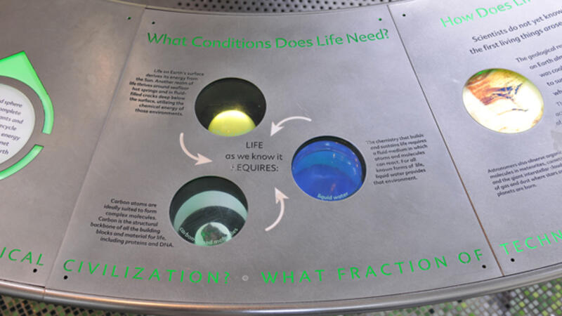 What Conditions Does Life Need? | AMNH