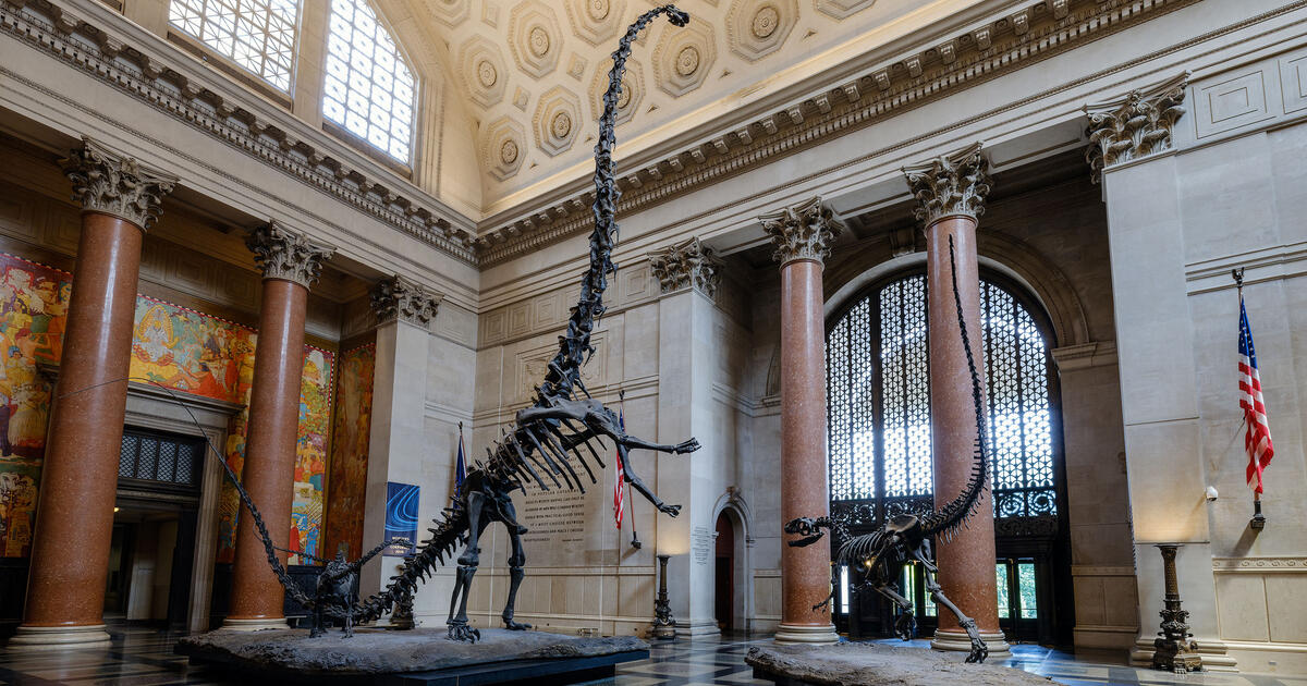 Theodore Roosevelt Rotunda: Welcome to the Museum | AMNH