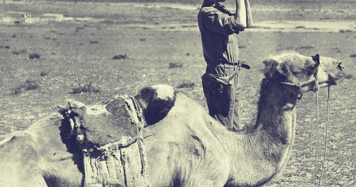 Fossil Hunting In the Gobi Desert - 360 Video | AMNH