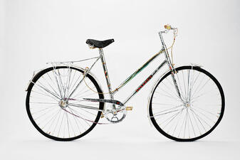 Inside the Museum's Scientific Collections | AMNH