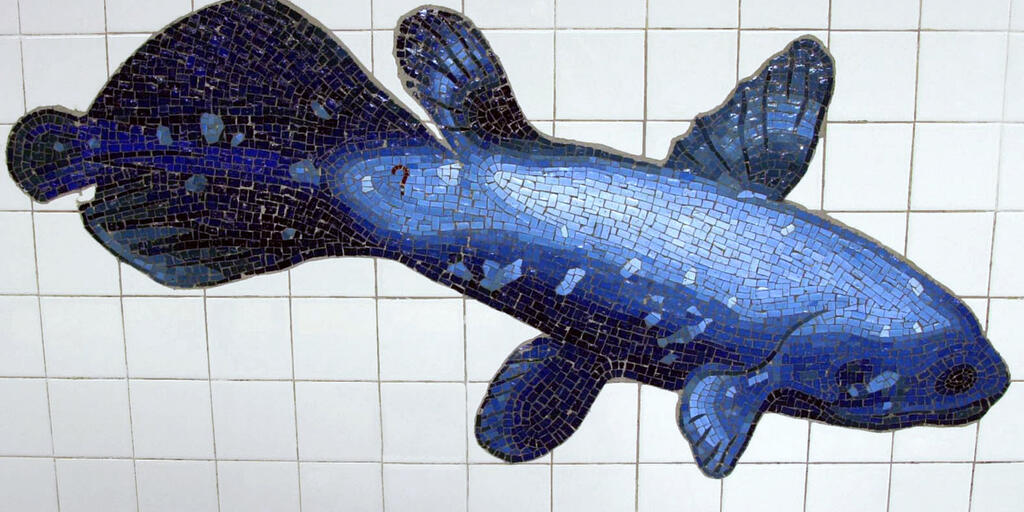 coelacanth dream