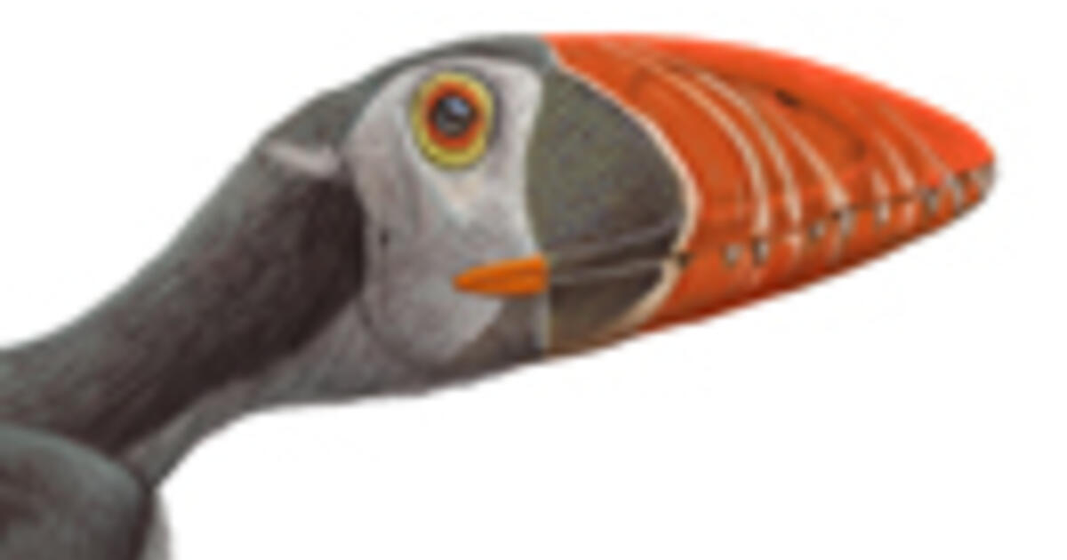 The Dimorphodon: Early Pterosaur | AMNH