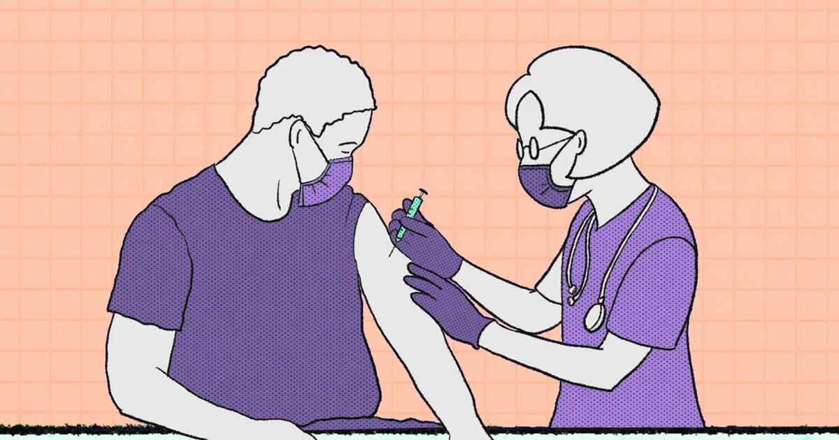 Vaccine History: How Do Vaccines Work? And Other Questions | AMNH