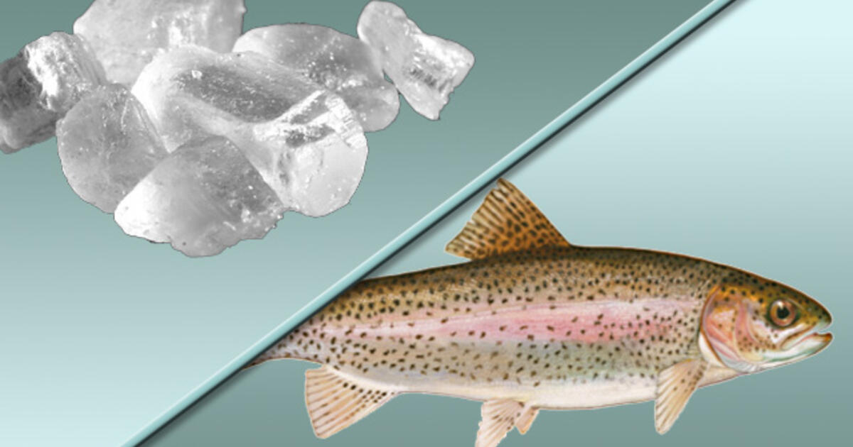 Biotic and Abiotic Factors | AMNH