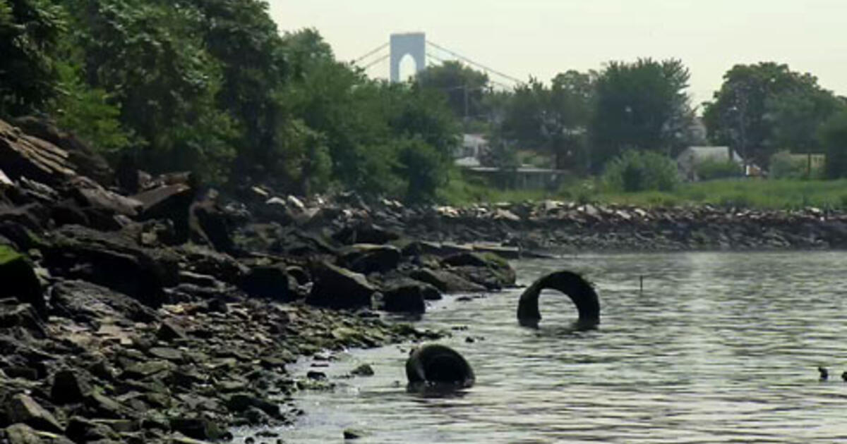 Ecology Disrupted: Winter Roads Lesson Plan