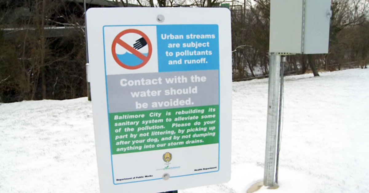 How Can We Test Whether Road Salt is Entering the Water Supply? | AMNH