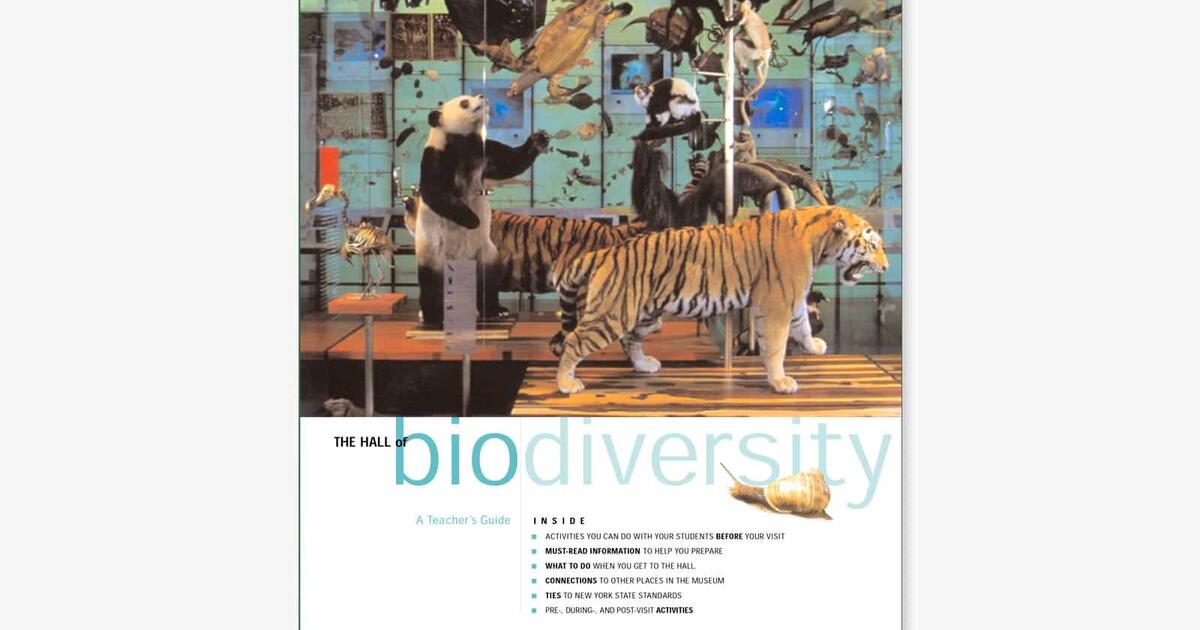 Educator Resources: Theodore Roosevelt Hall of Biodiversity | AMNH