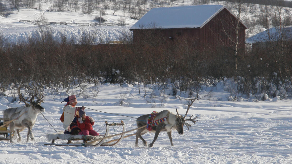 Mack Lipkin Panel: Humans and Nature in the Arctic: Indigenous Perspectives
