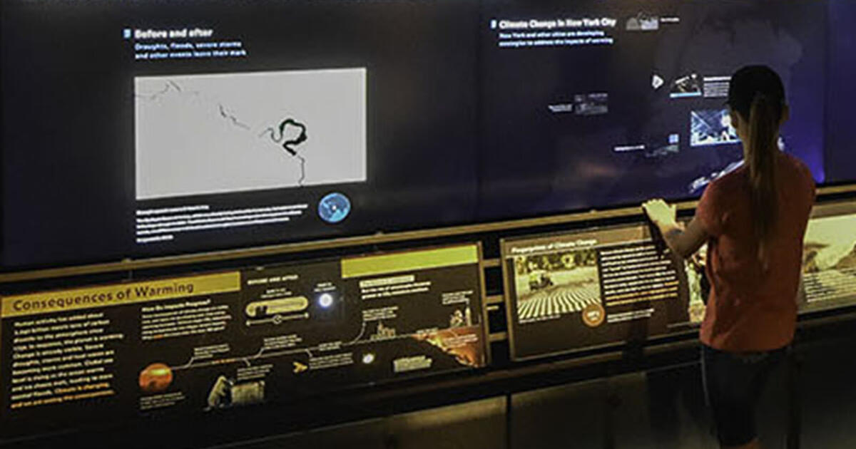 Nature Technology Interactive Walls