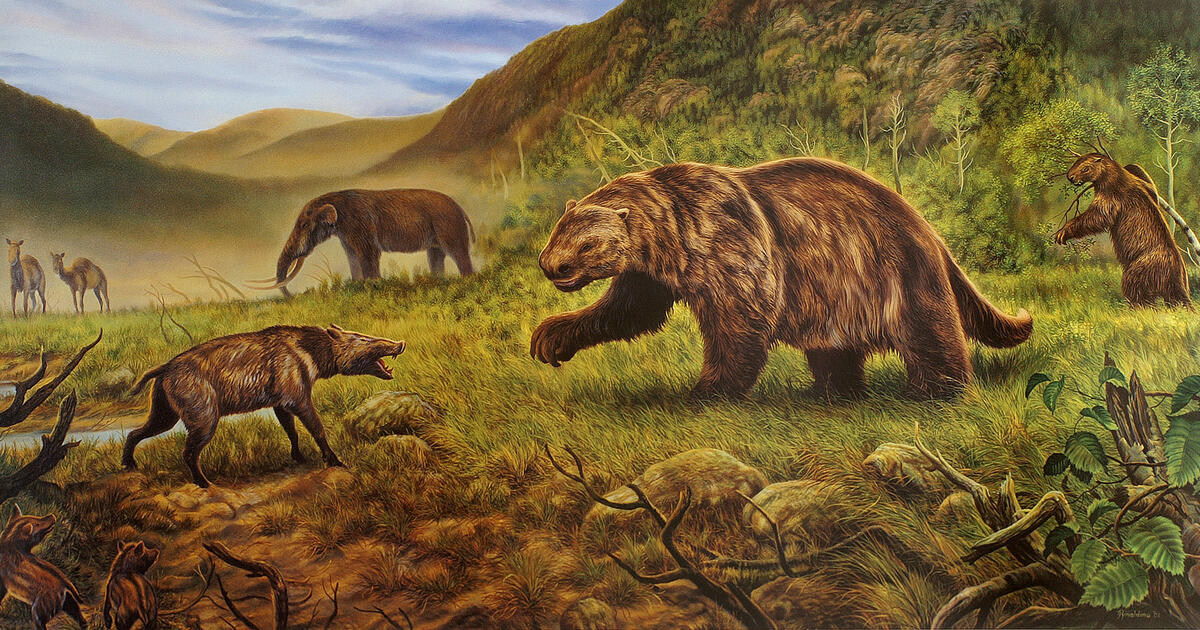 American Mastodons in North During Brief Warm Interval | AMNH